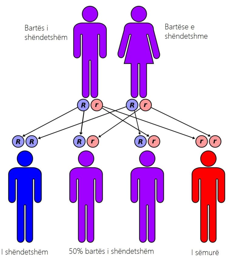 Fibroza cistike tek fëmijët/ Simptomat, analizat dhe trajtimi - Me Mjekun