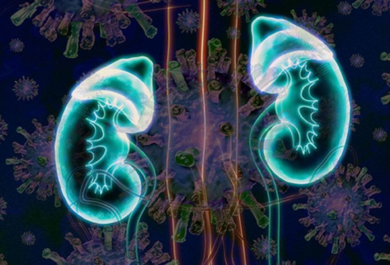 Çfarë duhet të dimë për Sëmundjet Kronike të Veshkave - Me Mjekun