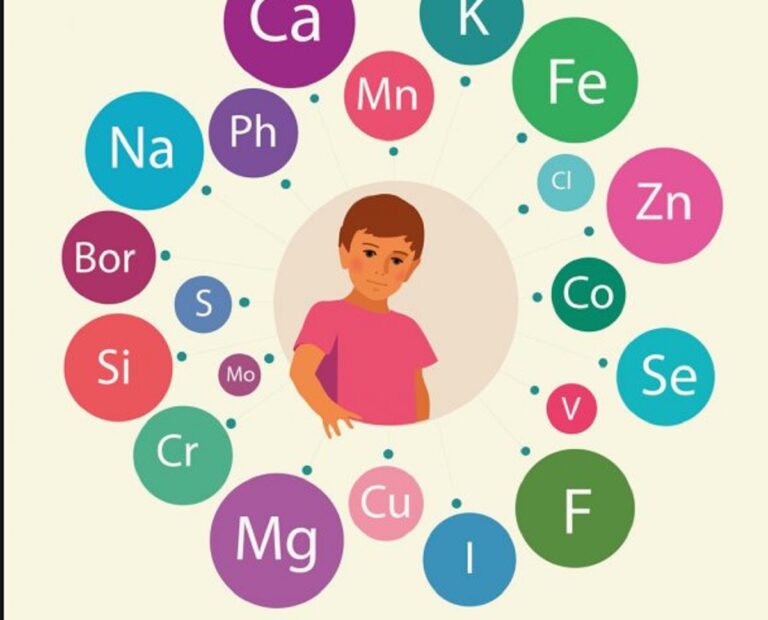 Mikroelementët në organizëm, roli jetik për metabolizmin - Me Mjekun
